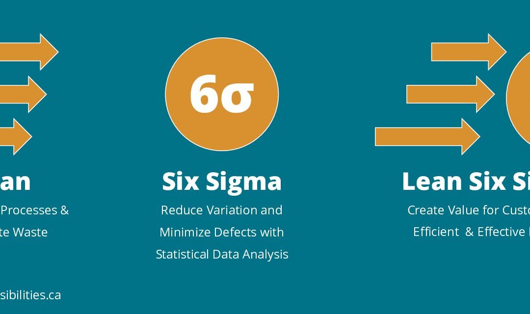 What Is Lean Six Sigma Infographic | Lean Possibilities