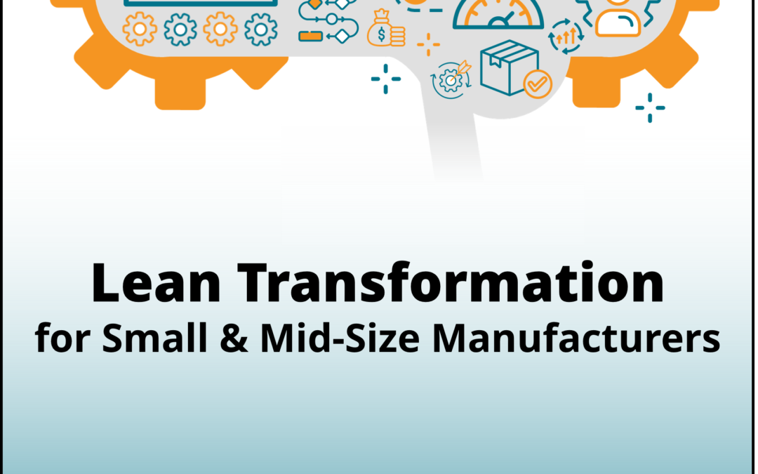 Book Cover | Lean Possibilities